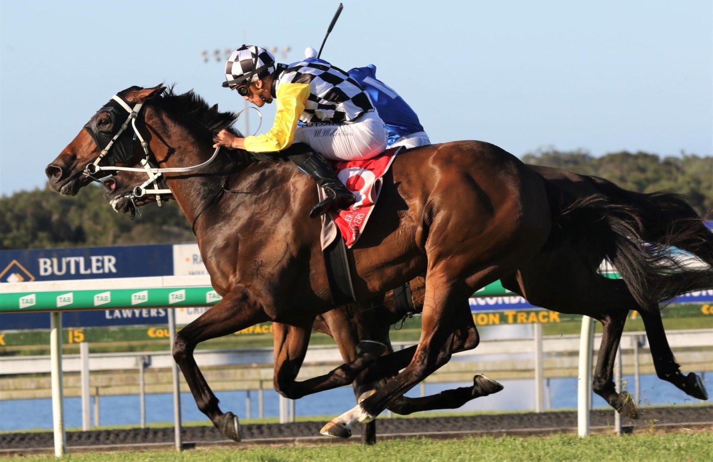 DGR finds Gold at the Coast - DGR Thoroughbred Services