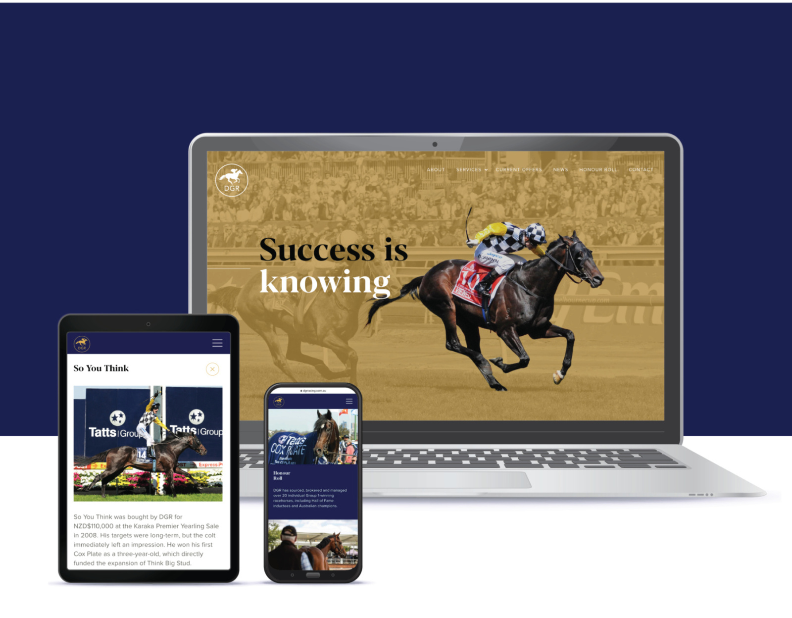 New DGR website - DGR Thoroughbred Services
